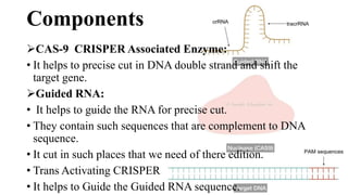 CRISPER-cas.9.pptx