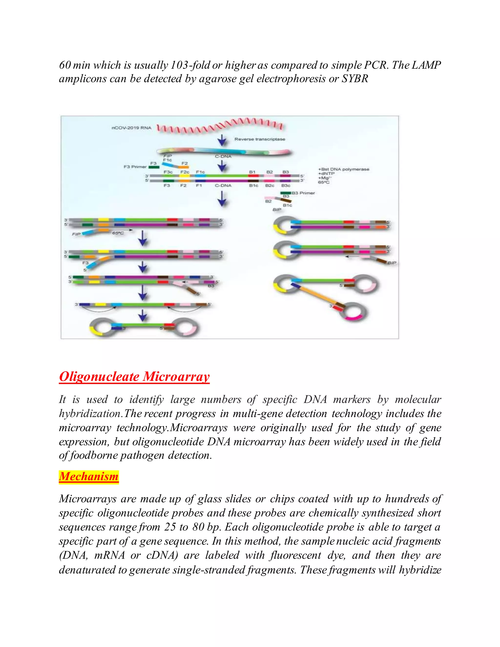 Method of detection of food borne pathogen(methods).docx