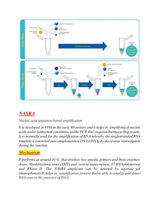 Method of detection of food borne pathogen(methods).docx