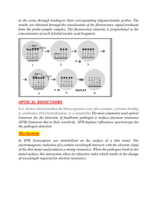 Method of detection of food borne pathogen(methods).docx