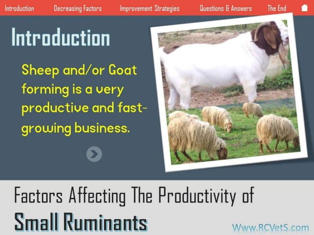 Factors Affecting the Productivity of Small Ruminants | PPTX ...