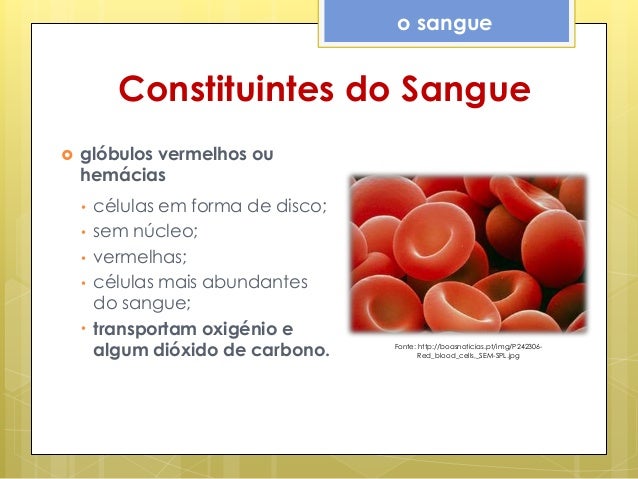 O sangue