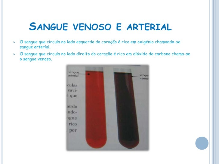 Qual A Diferença Entre O Sangue Arterial E Sangue Venoso? – Radiowelle Nrw