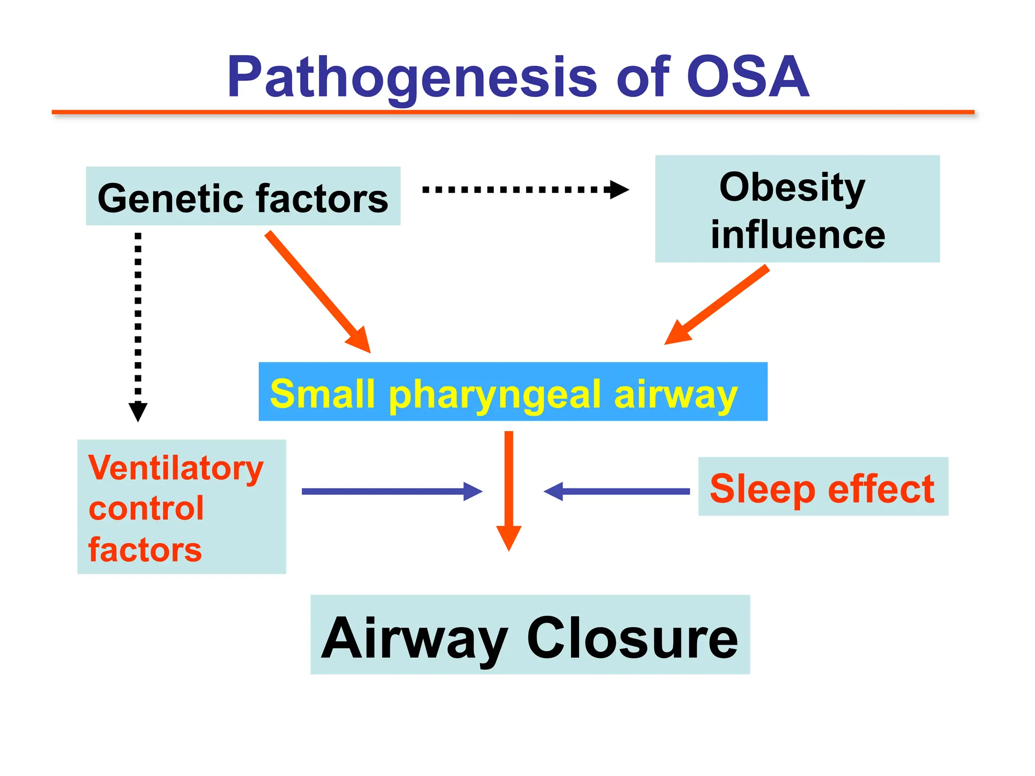 OSA overview Power Point Sleep Fellowship | PDF