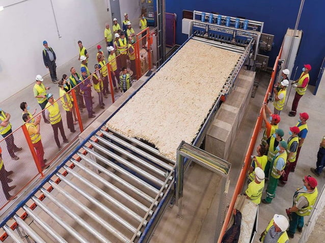 OSB & WOOD COMPOSITES | PPTX