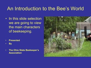 OSBA_Beekeeping_slide_set_3_Intro_Bees_World.ppt