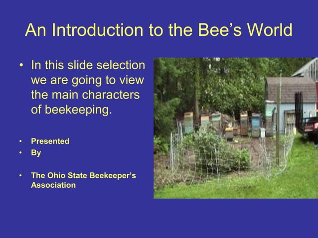 OSBA_Beekeeping_slide_set_3_Intro_Bees_World.ppt