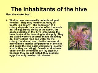 OSBA_Beekeeping_slide_set_3_Intro_Bees_World.ppt
