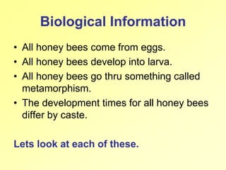 OSBA_Beekeeping_slide_set_3_Intro_Bees_World.ppt