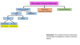 the control of microbial growth | PPTX