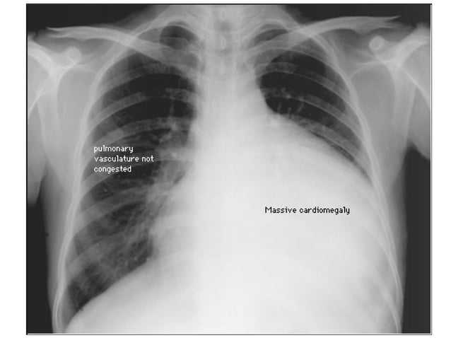 Osce radiology | PPT