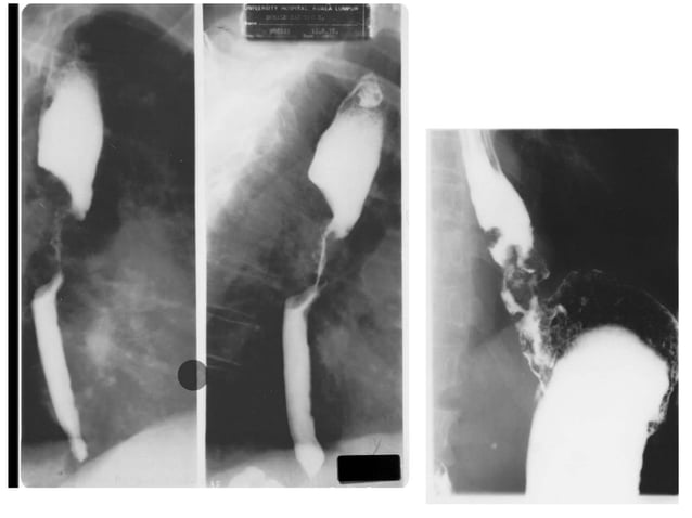 Osce radiology | PPT