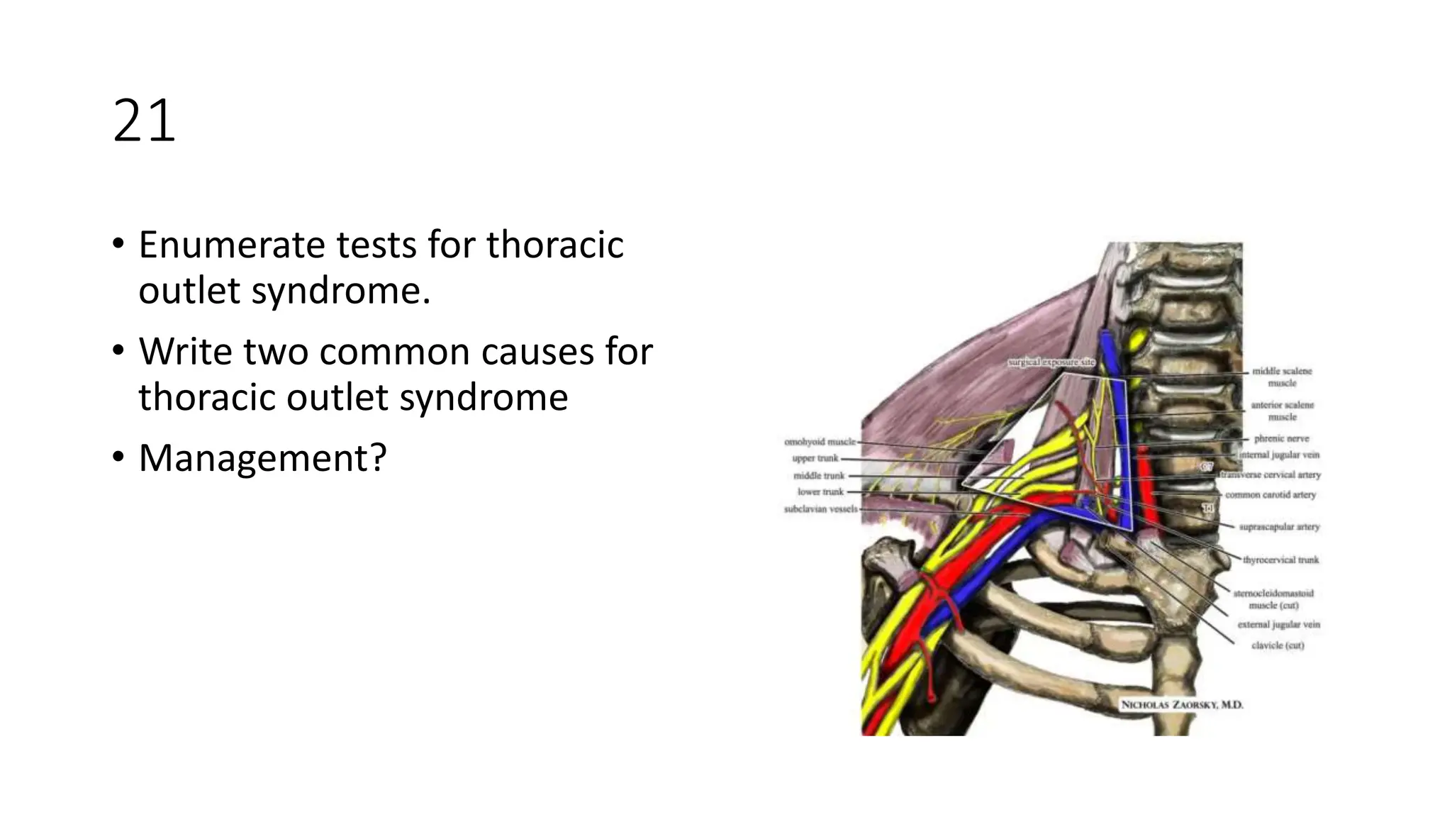 OSCE ortho | PPTX