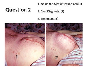OSCE for Medical Students DCM 2 .PPTX, 2024 | PPT