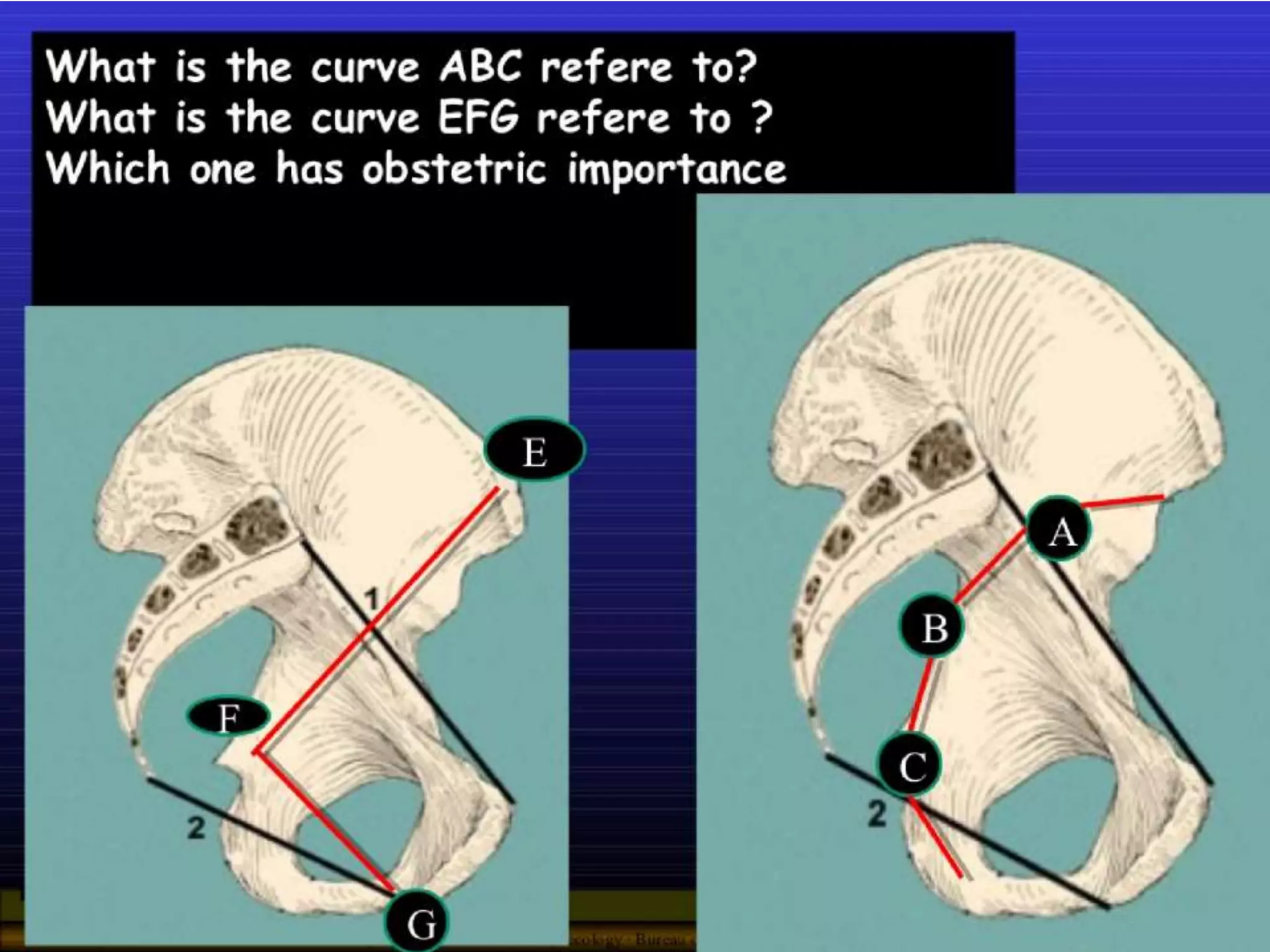 Osce revision | PPT