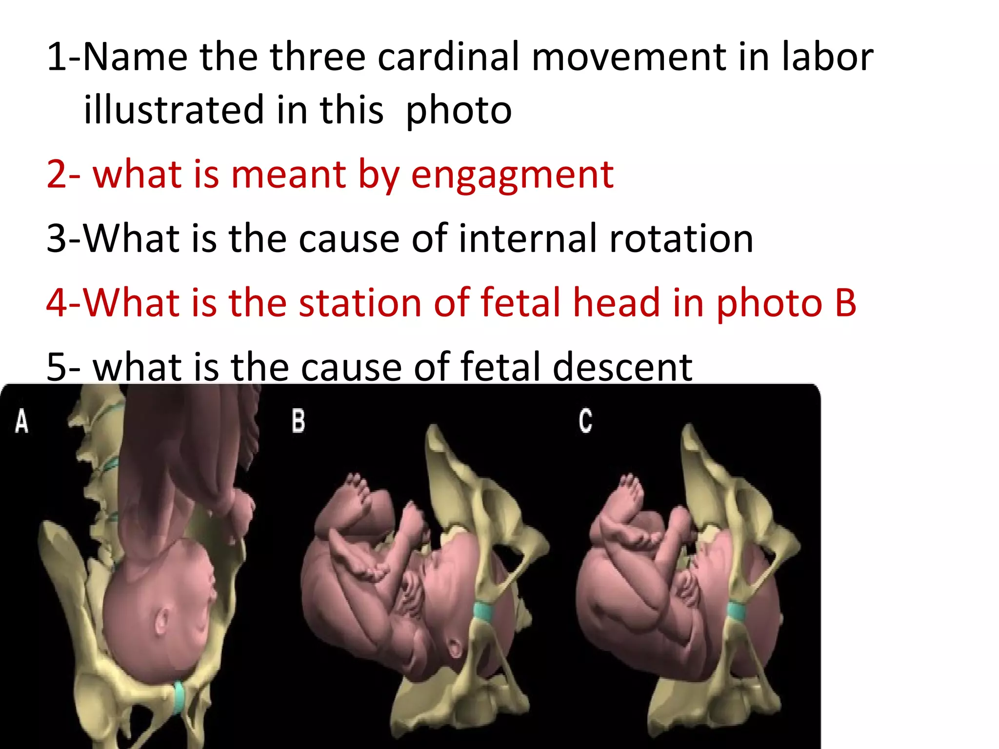 OSCE student exam in Obstetrics &Gynecology Zagazig University 2014 | PPT