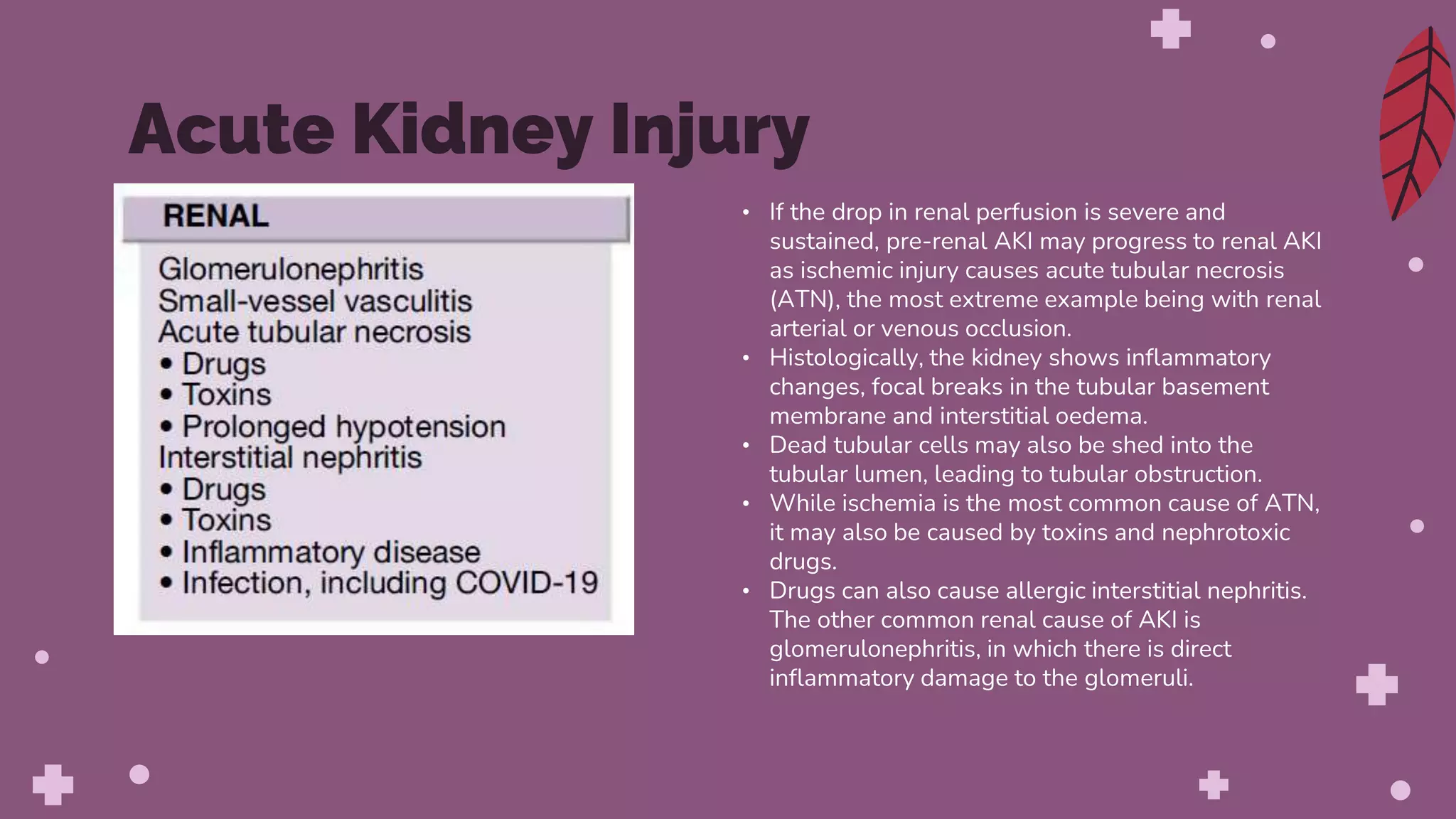 OSCE Tutorial W8 AKI & Urinalysis.pptx