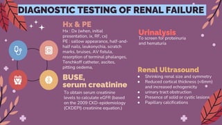 OSCE Tutorial W8 AKI & Urinalysis.pptx