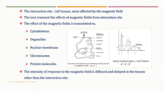 Oscillating magnetic field | PPTX