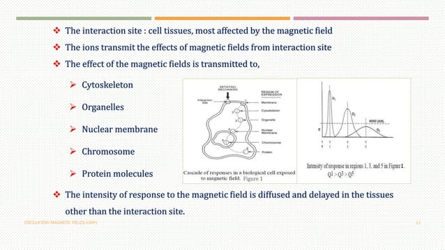 Oscillating magnetic field | PPTX