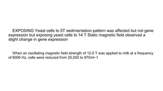 oscillating magnetic field 1.pptx