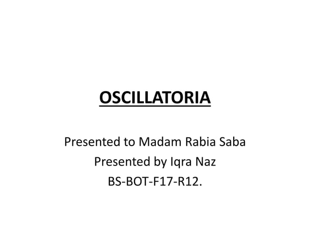 Oscillatoria | PPTX