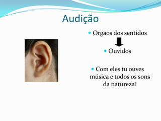 Os cinco sentidos | PPSX