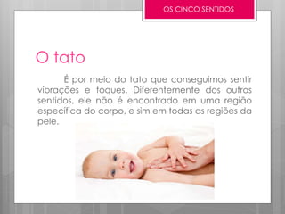 Os Cinco Sentidos | PPTX
