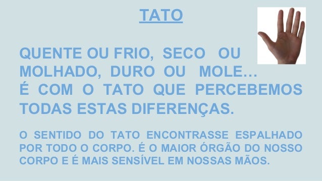 Os cinco sentidos(1)