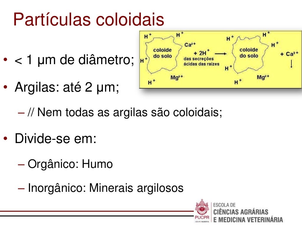 Os colóides do solo