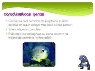 Os Cordados - Características e Classificação Gerais | PDF
