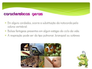 Os Cordados - Características e Classificação Gerais | PDF