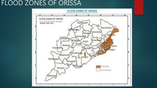 OSDMA (Odisha State Disaster Management Authority) | PPTX