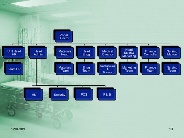 Organizational Structure and Design - A case for a mid-sized Hospital ...