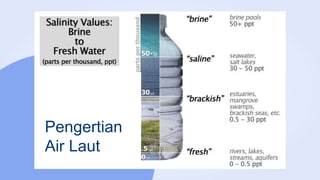 Oseanografi Kimia.pptx