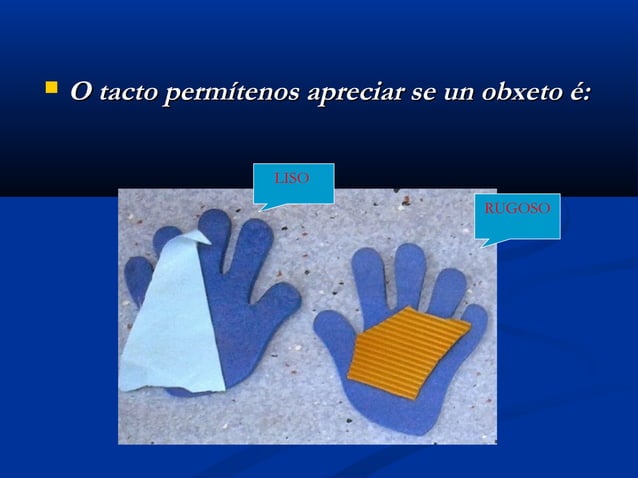 O sentido do tacto | PPT