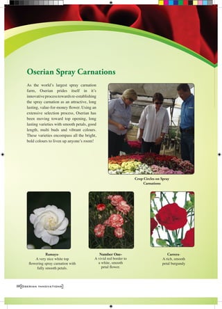 Oserian Innovation booklet | PDF | Gardening | Home & Garden