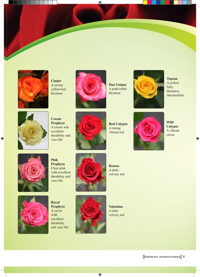 Oserian Innovation booklet | PDF | Gardening | Home & Garden