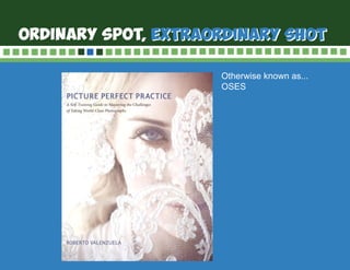 Megan Kelly OSES Examples | PPT