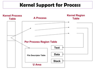 Kernal | PPT