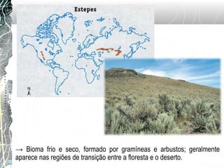 Os grandes biomas da Terra | PPT