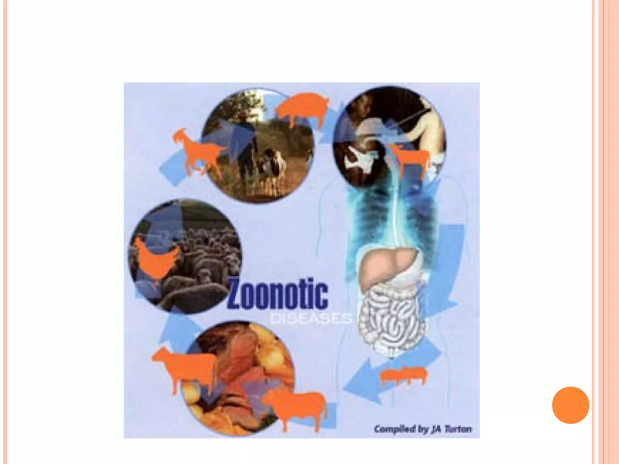 Osha and veterinary medicine | PPT