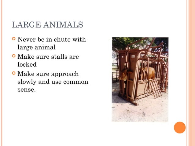 Osha and veterinary medicine | PPT