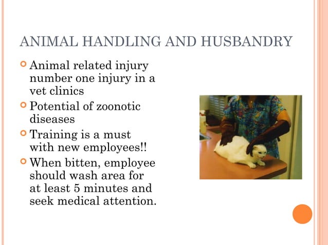 Osha and veterinary medicine | PPT