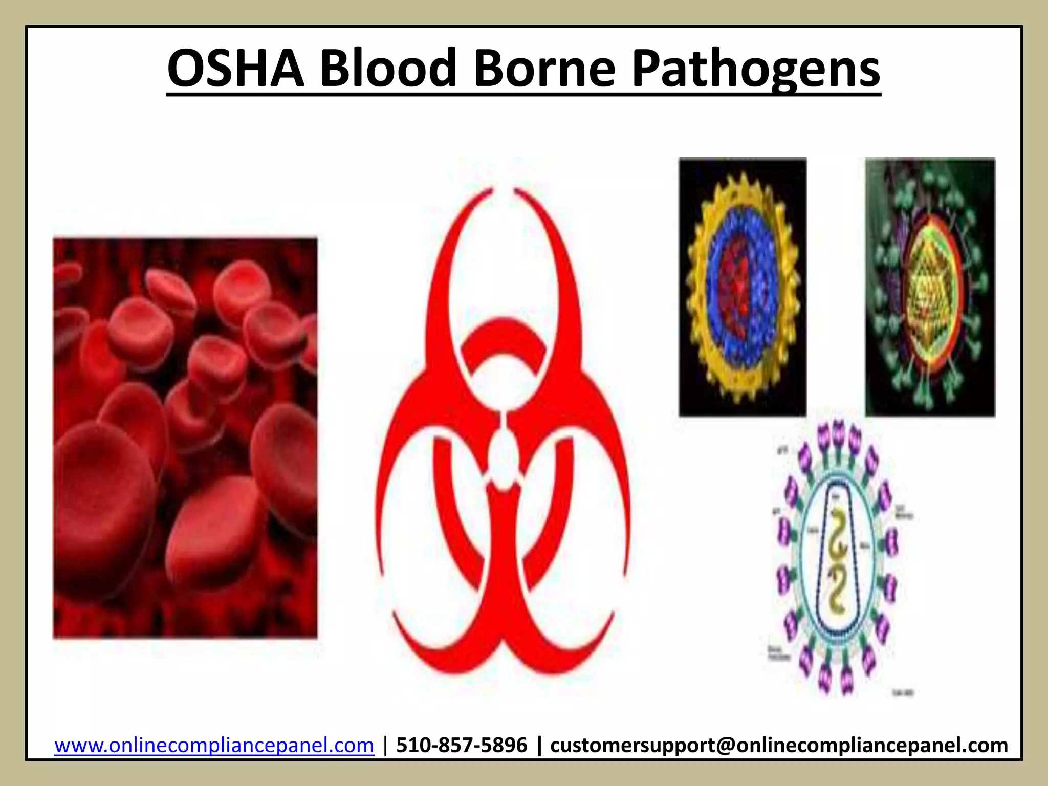 Osha blood borne pathogens | PPT