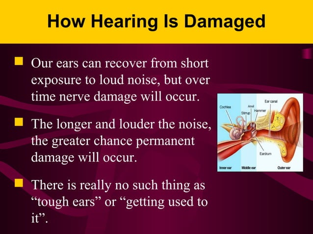 OSHA Noise and Hearing Conservation | PPT