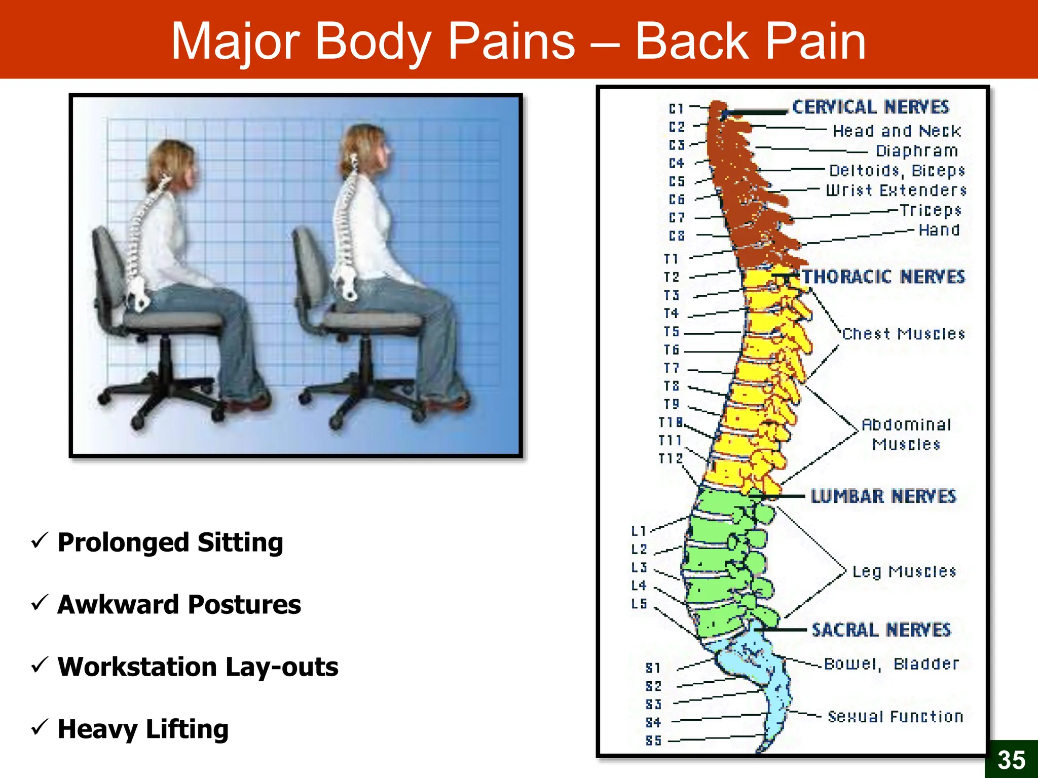OSHA Scribd presentation 2021-OSHA 1994 | PPT | Physical Therapy | Wellness