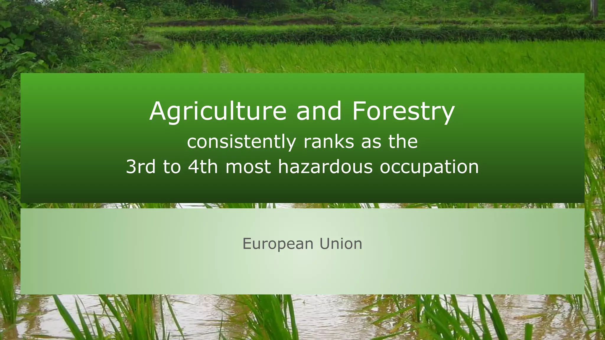 Occupational Safety, Health and Environment for the Agricultural ...