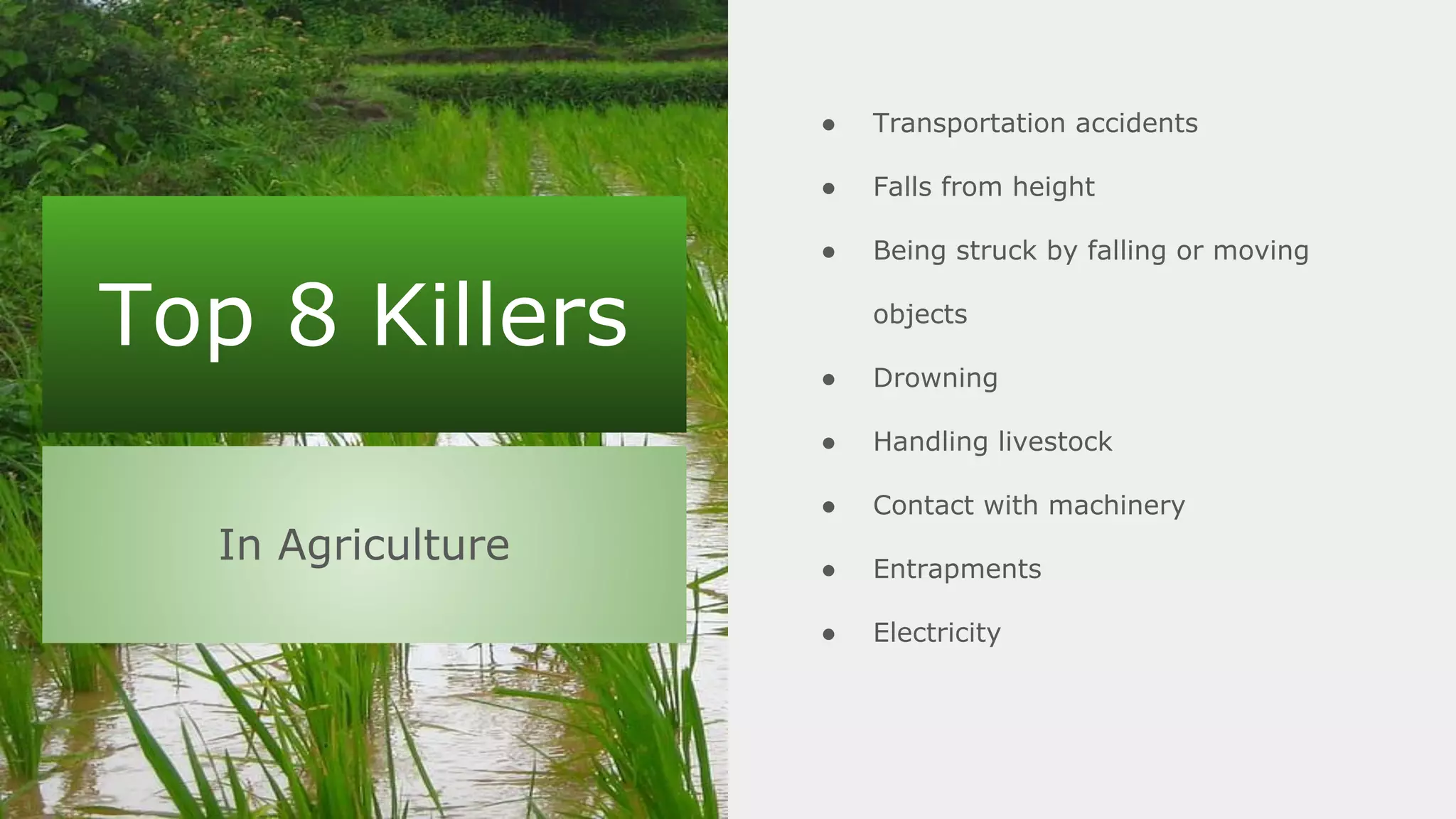 Occupational Safety, Health and Environment for the Agricultural ...