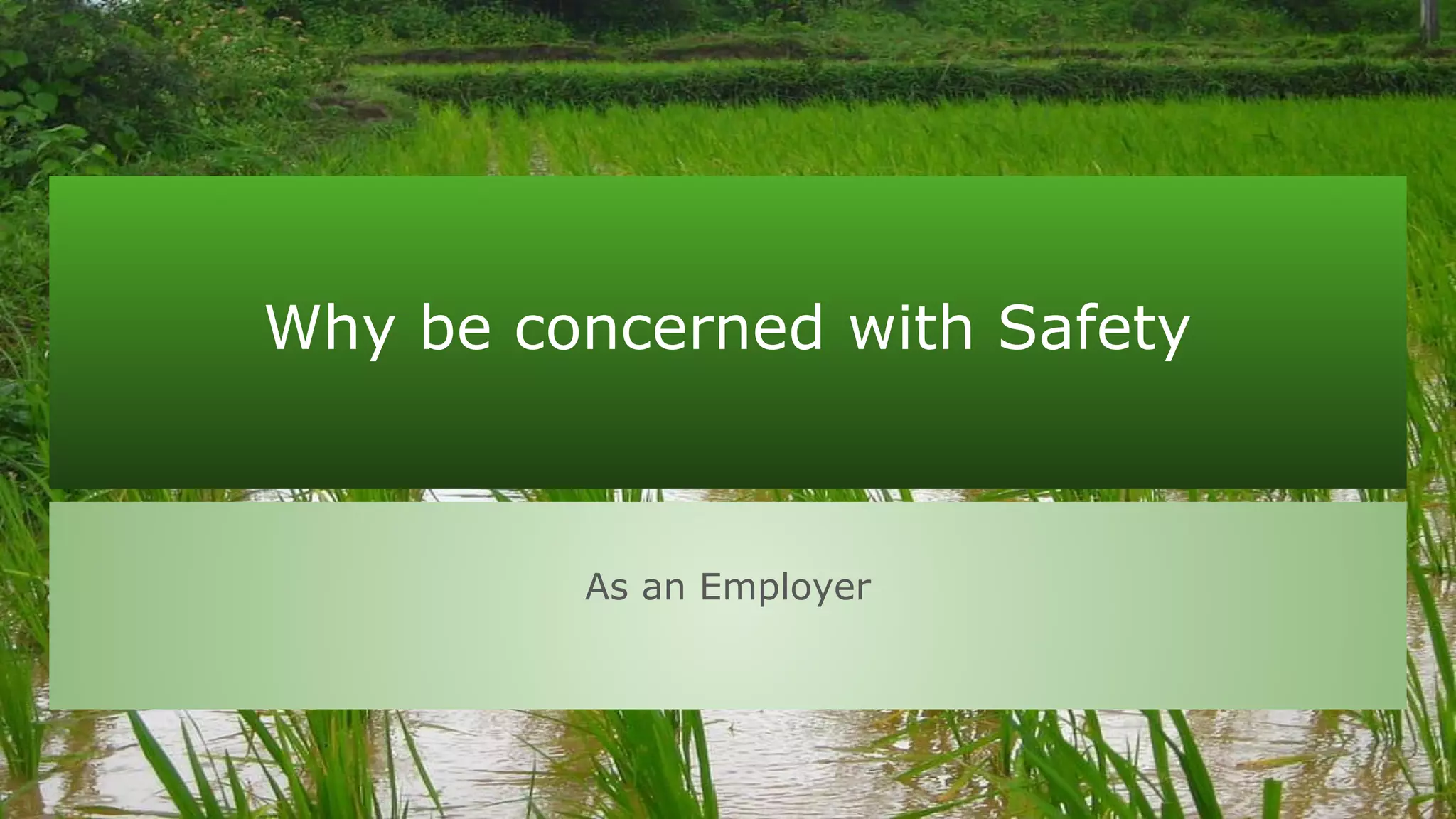 Occupational Safety, Health and Environment for the Agricultural ...